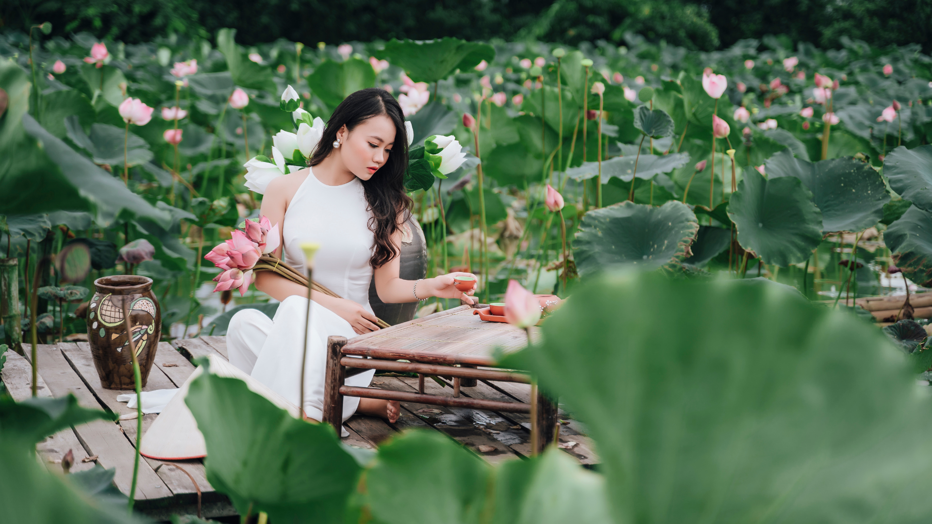 The secret of lotus tea (lotus tea). What are the health and beauty ...