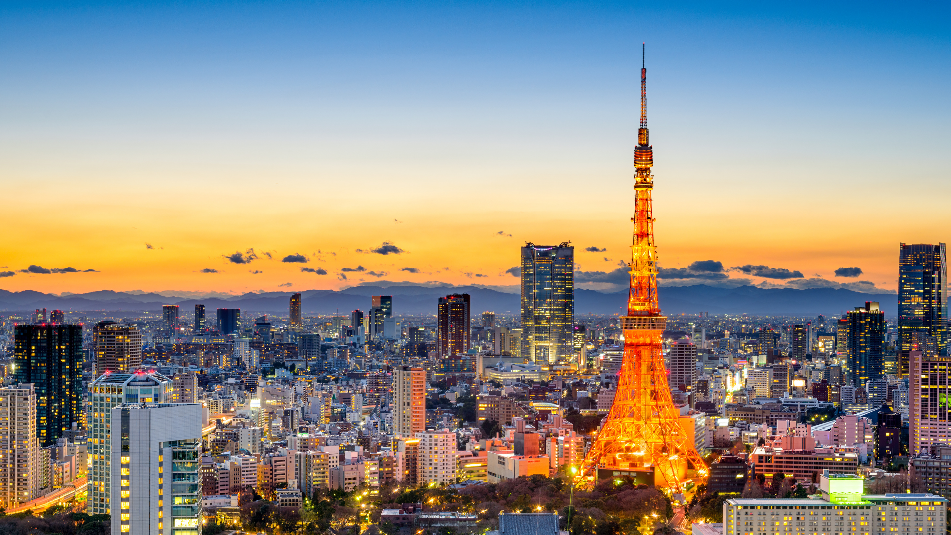 Enjoy Tokyo in 10 days! Recommended sightseeing plan for beginners