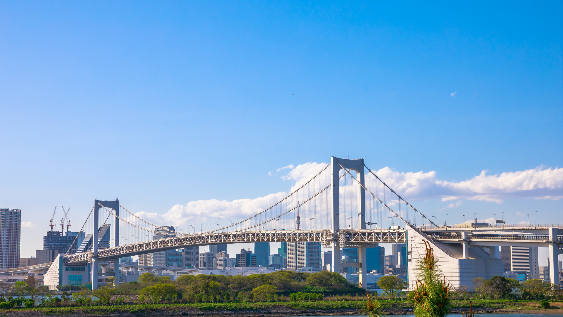 You can enjoy it day and night! A complete guide to the Rainbow Bridge