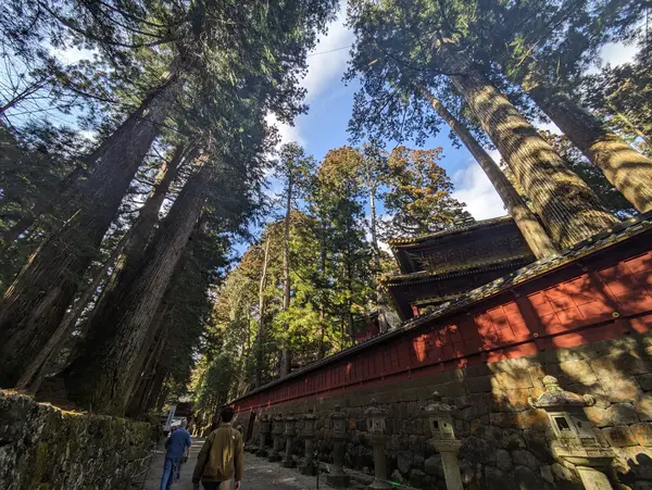 Discover Nikko: A Complete Guide to Japan's World Heritage and Natural ...